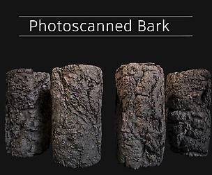 Zbrush Alpha Tree Bark Set for Free