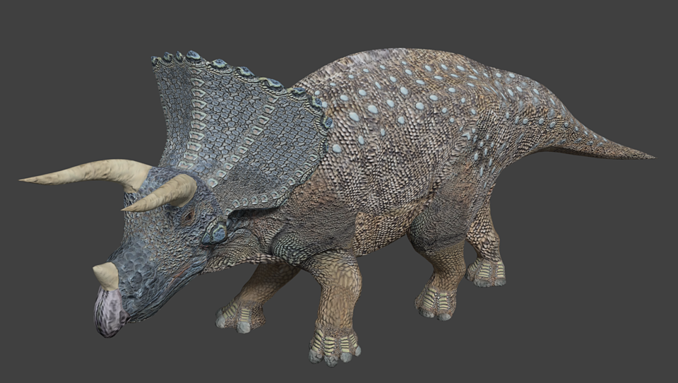 Triceratops
