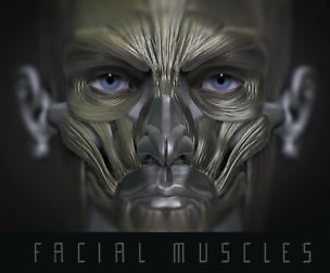 Base Mesh optimized for Facial Rigging