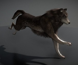 Realistic Wolf Maya Rig