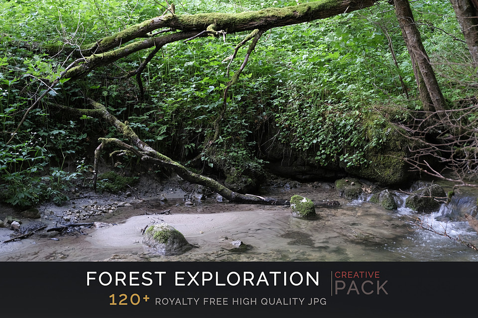 Forest Exploration CREATIVE PACK