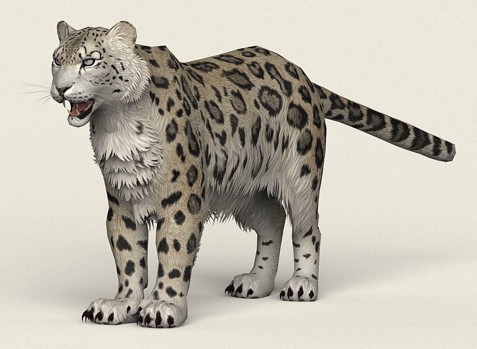 Game Ready Snow Leopard