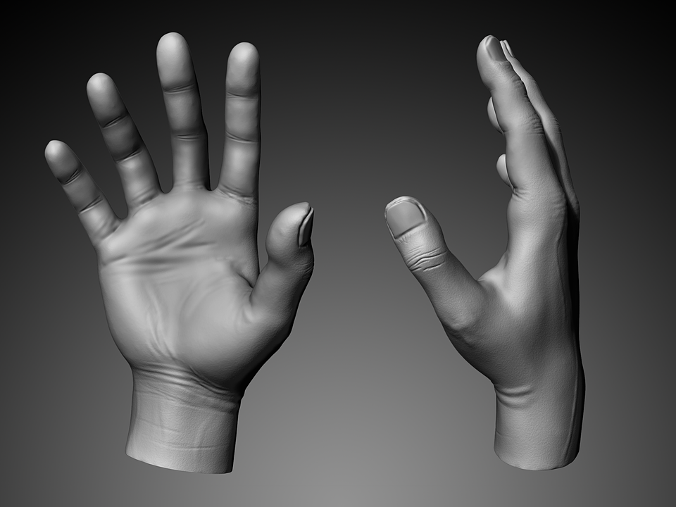 Hand 3D Model