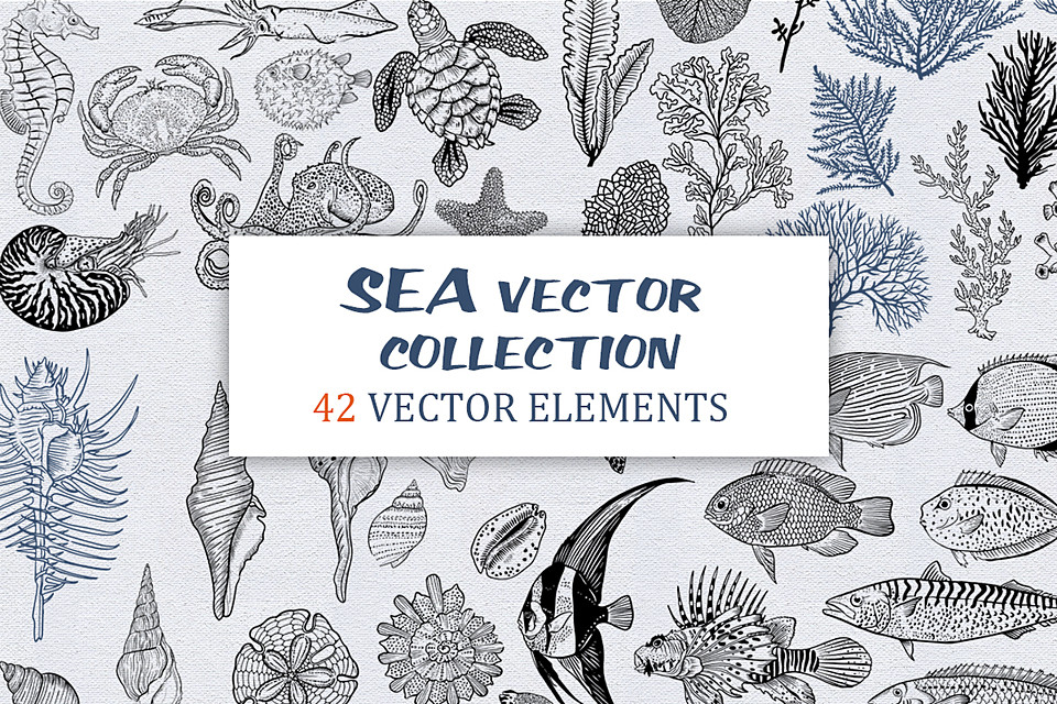 SEA VECTOR COLLECTION SET