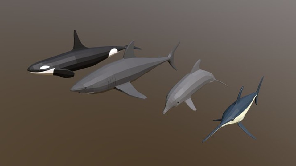 Low Poly Fish Collection