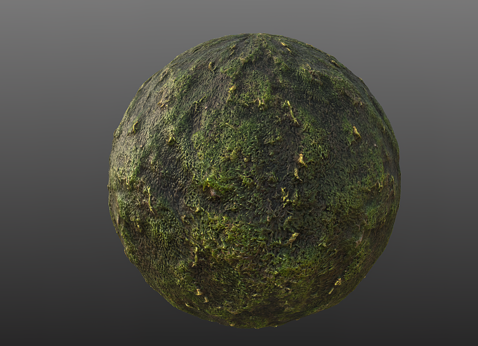Moss PBR Material Texture