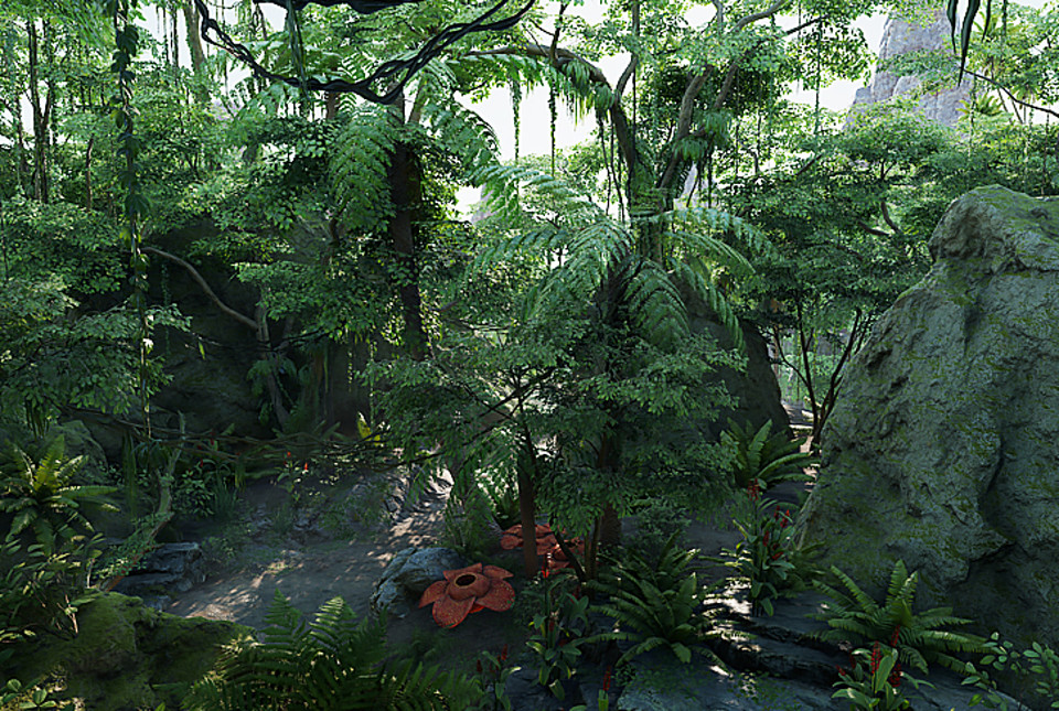 Tropical Jungle Pack - UE4