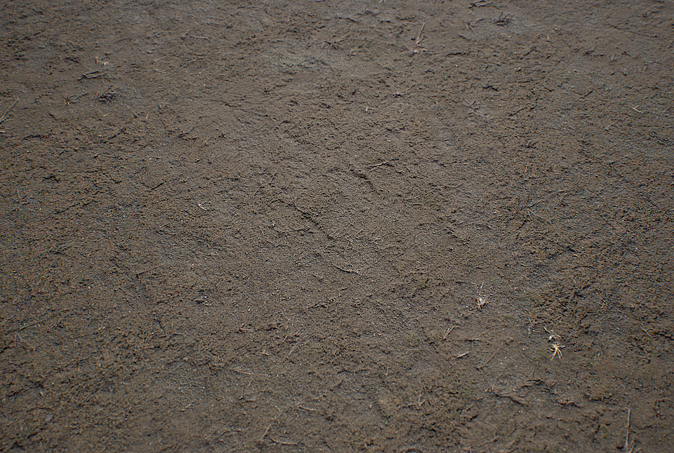 [PBR TEXTURES] Forest_Mud_2k