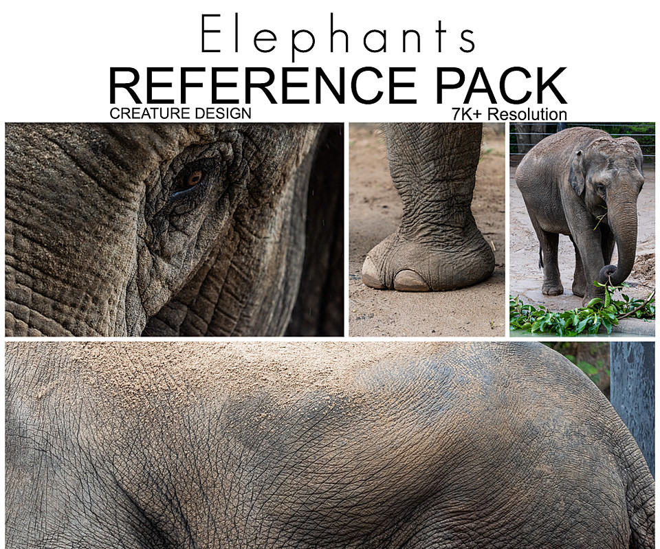 Creature Design Reference Pack - Elephant Textures