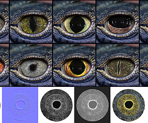 30 Eye Textures