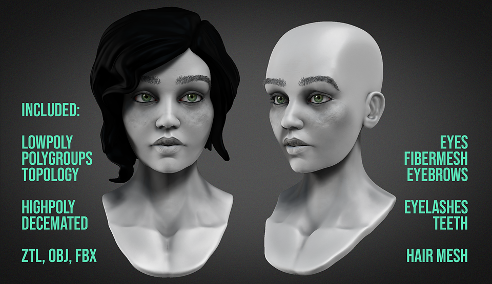 Female Bust 3D model