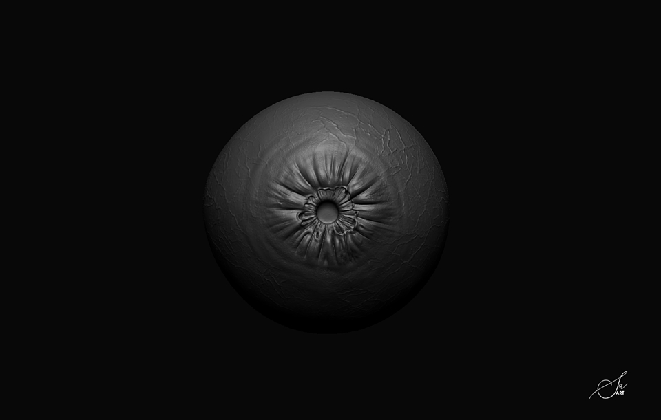 Human Eye 3d Print 2