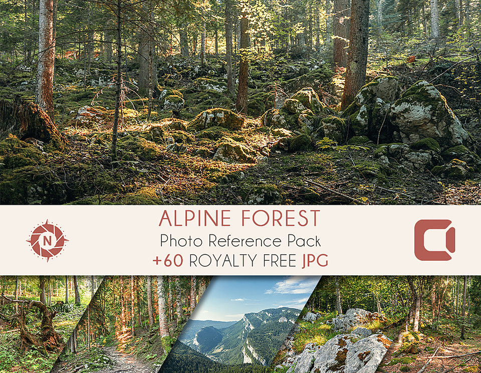Alpine Forest - Photo Reference Pack