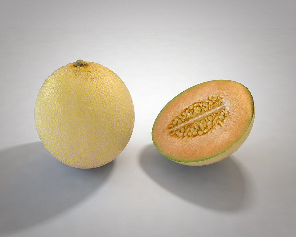 Melon 3D Model