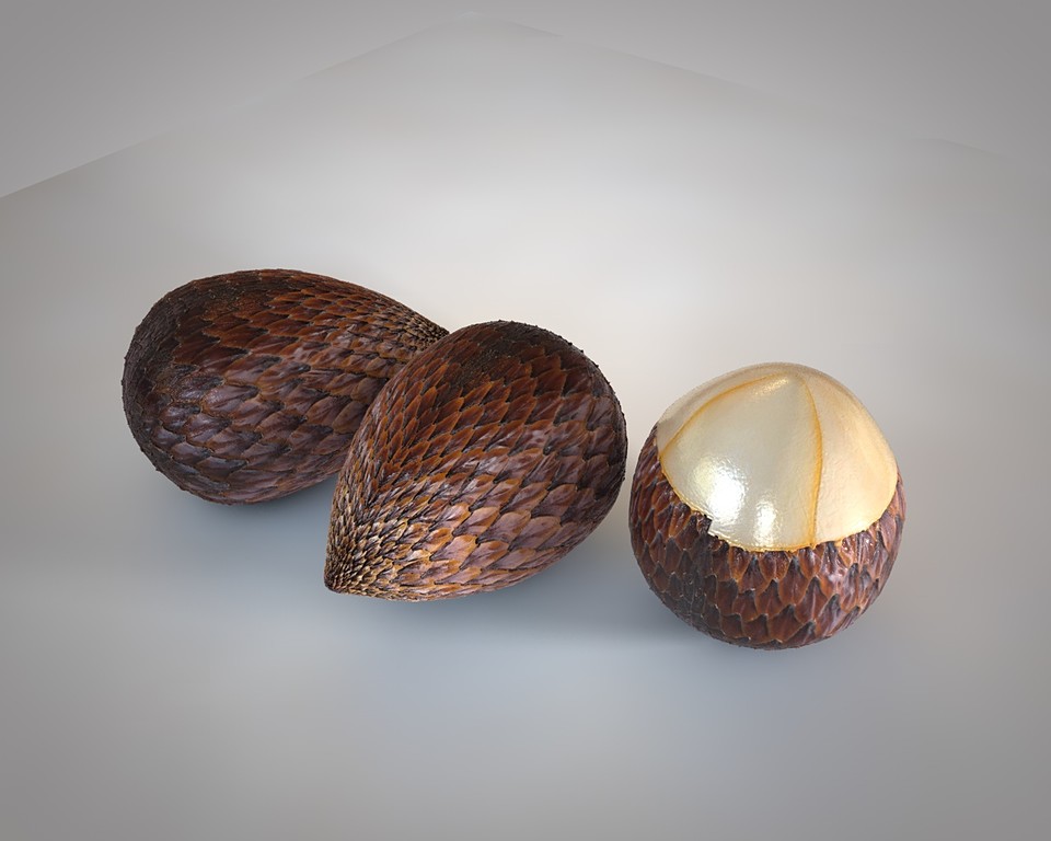 Salak 3D Model
