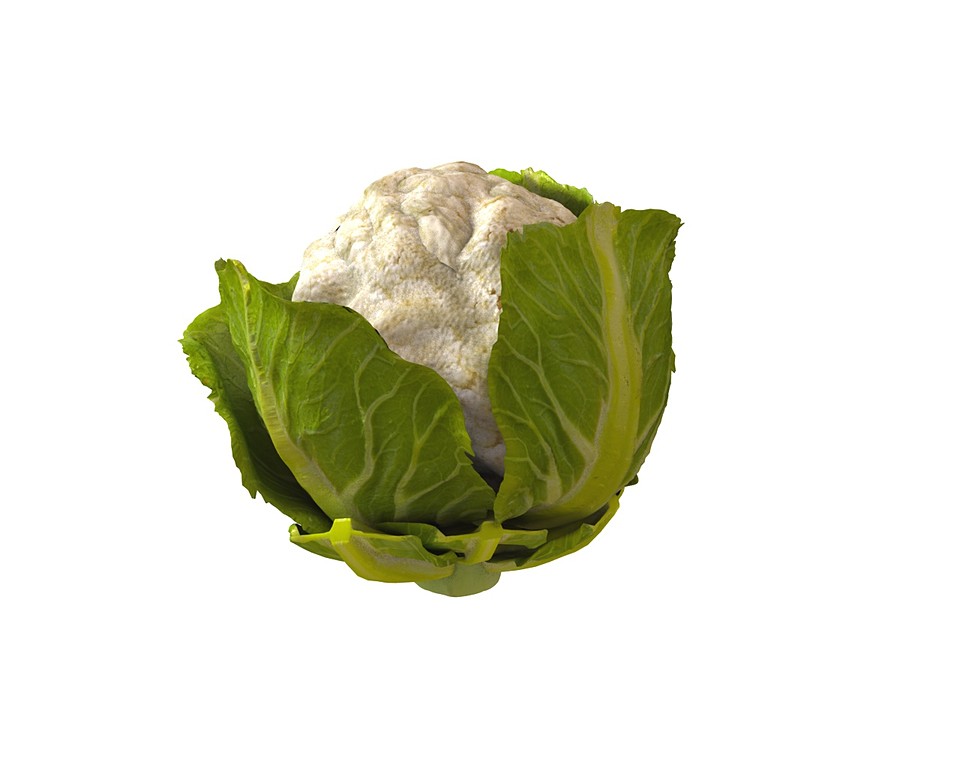 Cauliflower 3D model