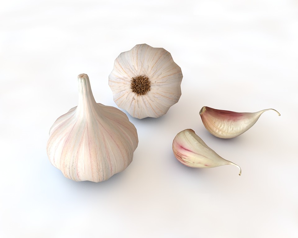 Garlic 3D Model