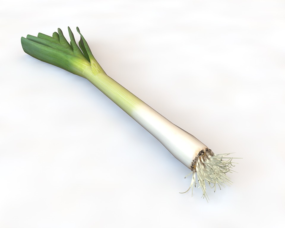 Leeks 3D Model