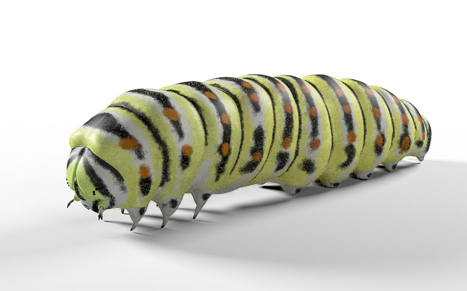 Caterpillar 3D Model