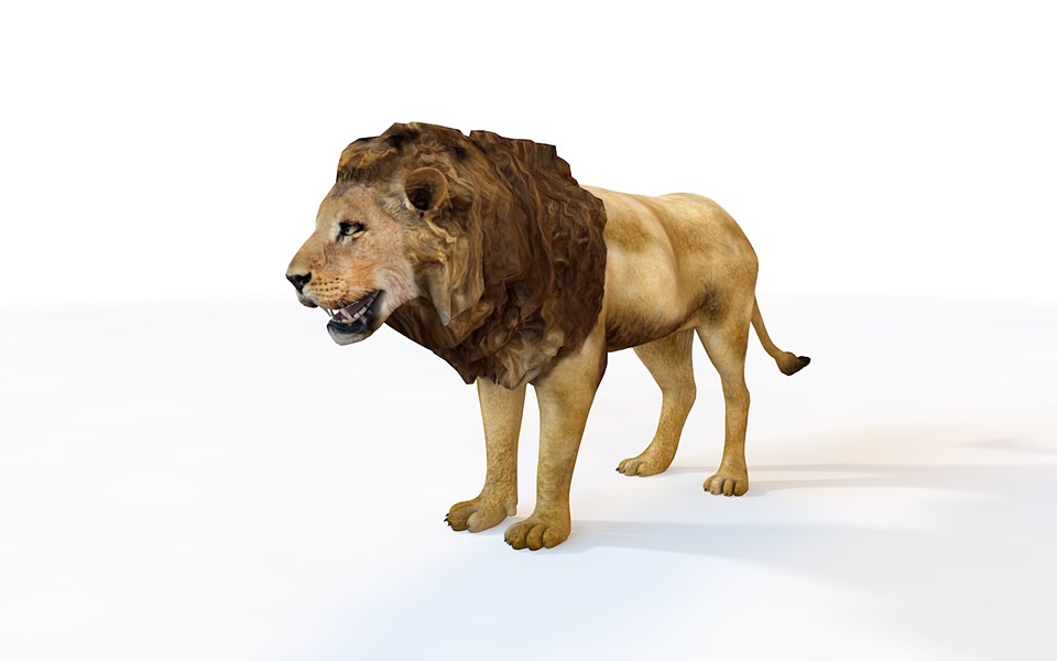 Lion 3D Model