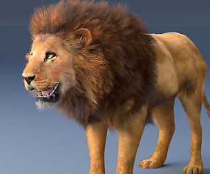 Lion Maya Rig