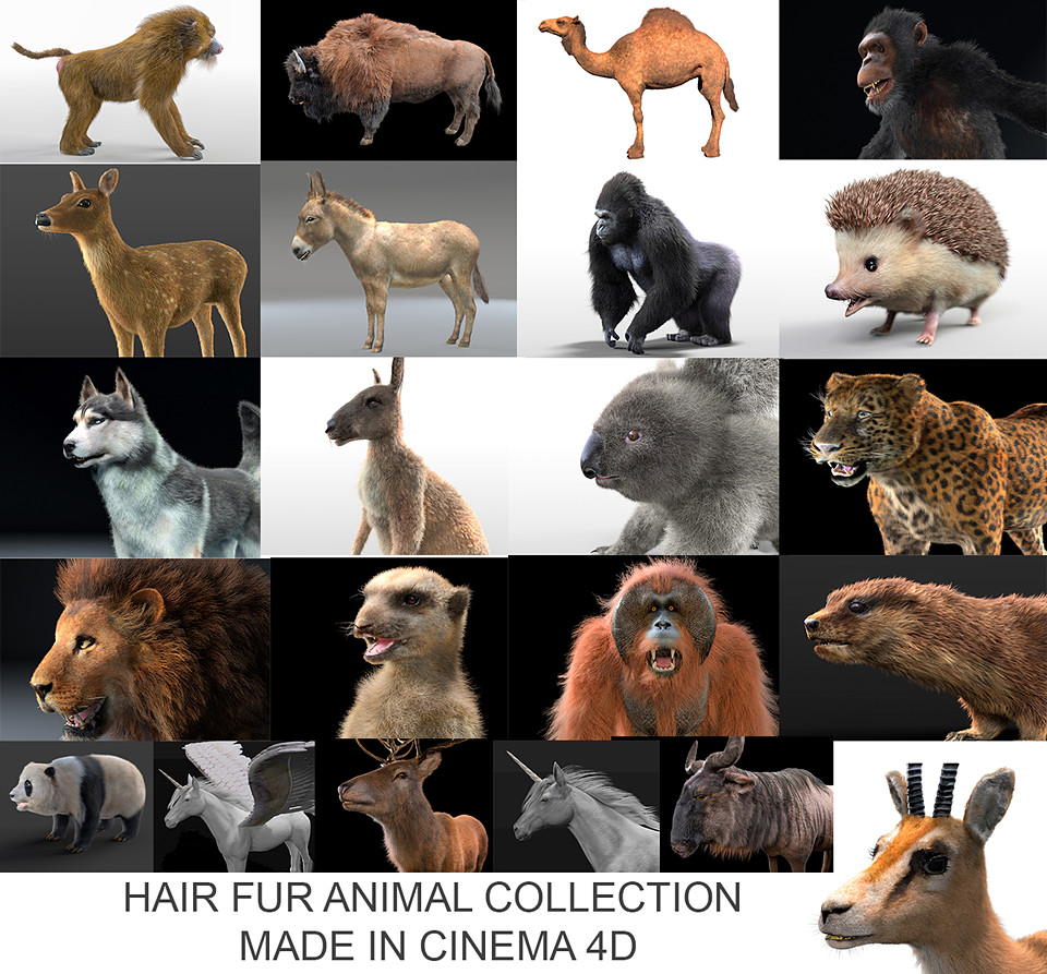 Hair Fur 3D Animals Collection