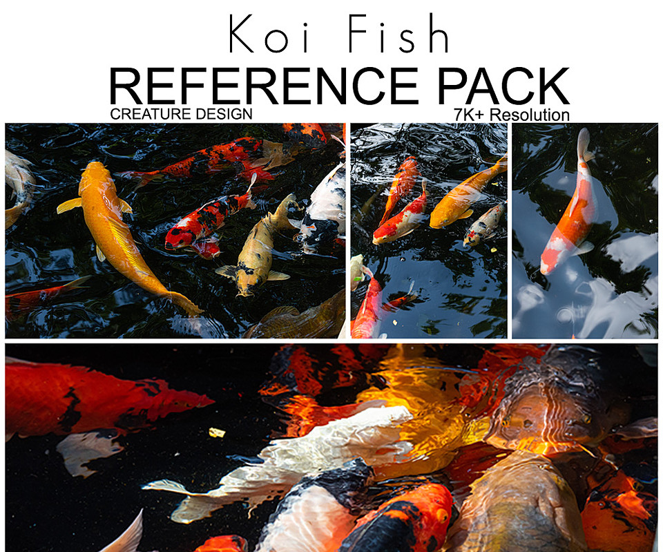 Creature Design Reference Pack - Koi Fish