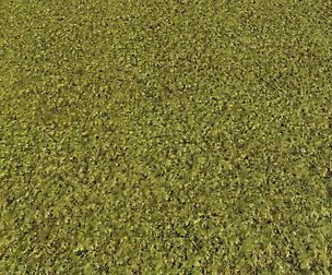 Stylized Moss