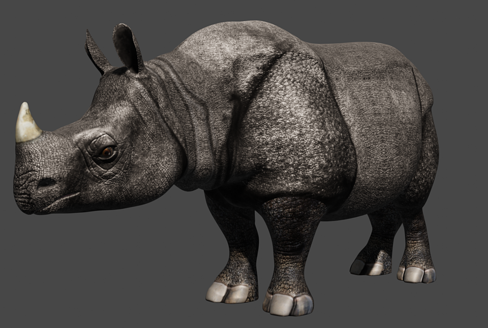 Rhino rigged animated