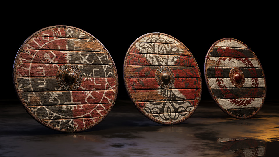 Viking Shields . Dane shields