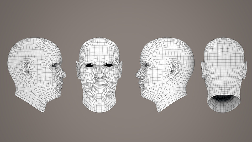 BaseMesh_Head