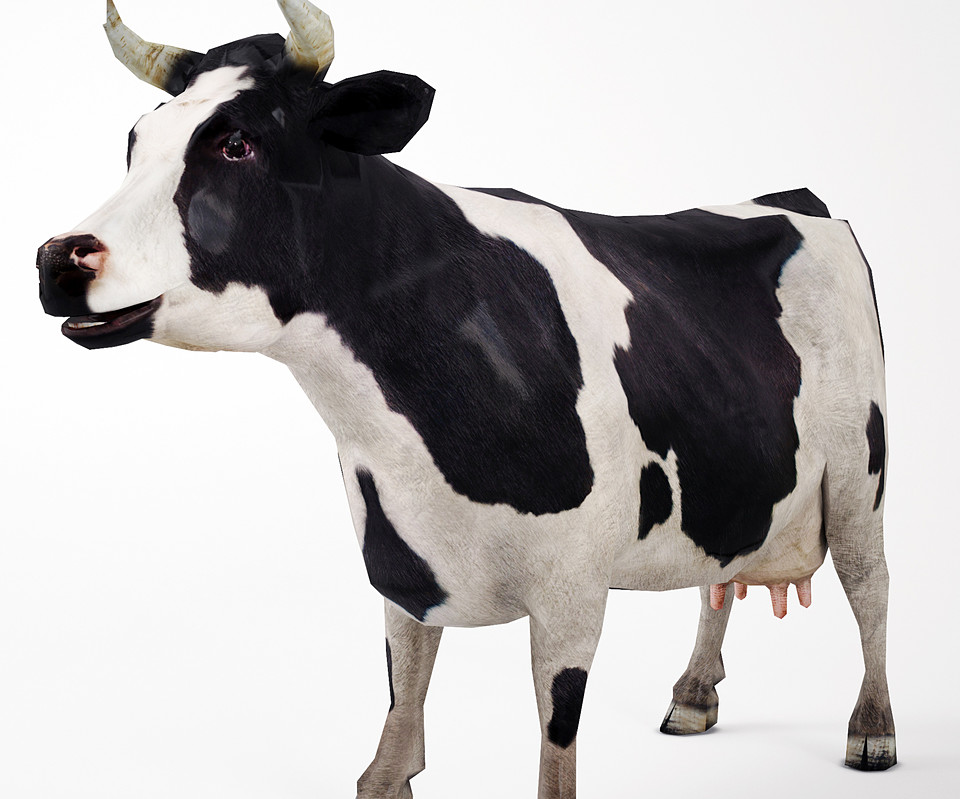 Realistic Cow