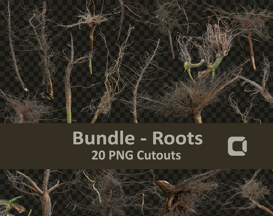 PNG Photo Pack: Roots
