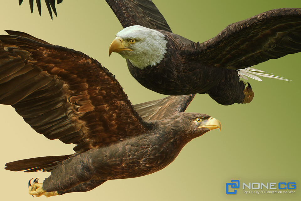 Eagles Pack v3 - Unity