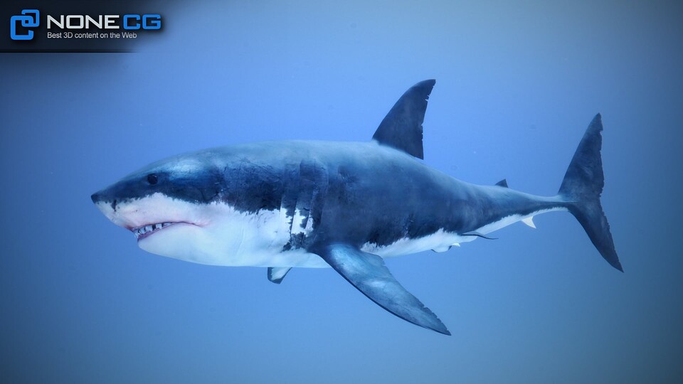 Great White Shark v2 Unity