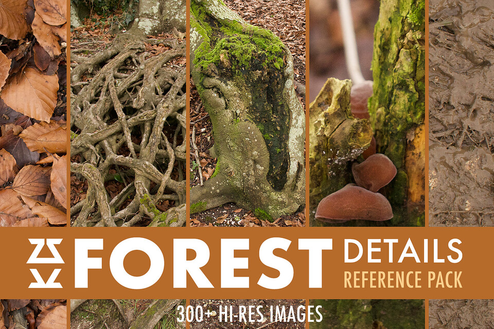 Forest details Photo Reference Pack