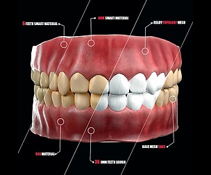 Stylized teeth for Zbrush