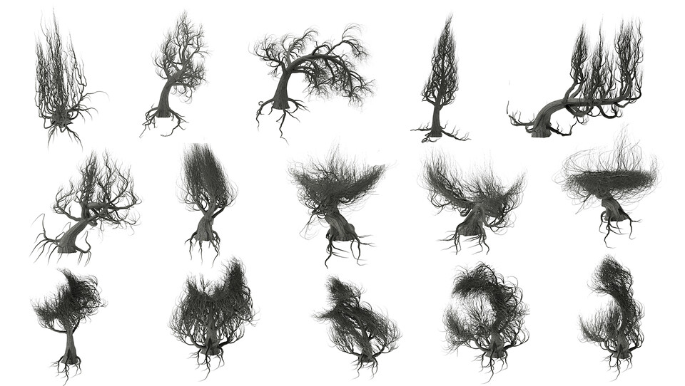 15 Growth Tree Game Models