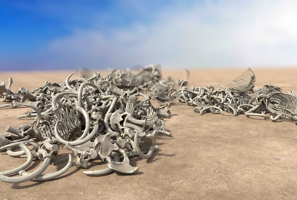 Bone Piles Collection