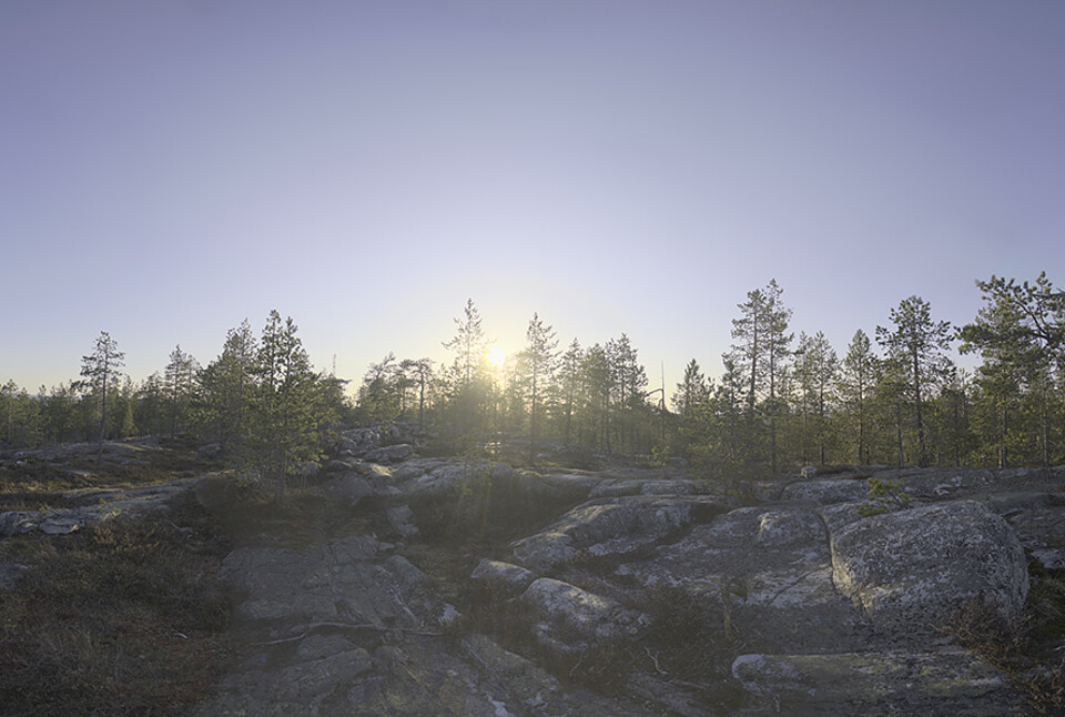Nature HDRI - Midsummer Rock