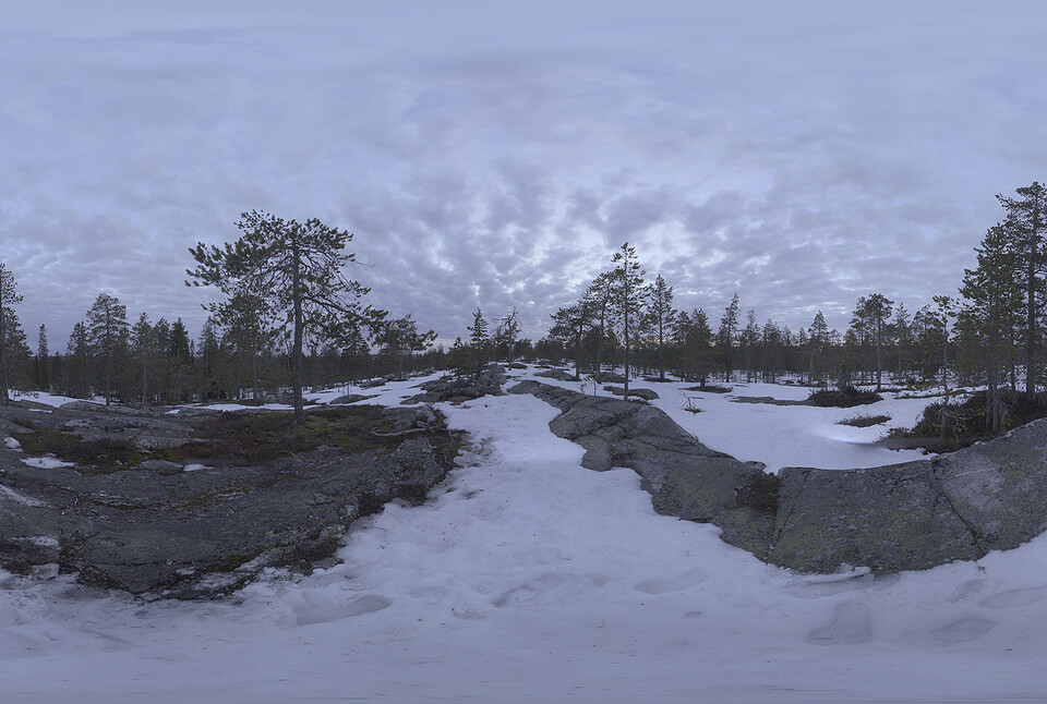 Nature HDRI - Northern Spring Forest