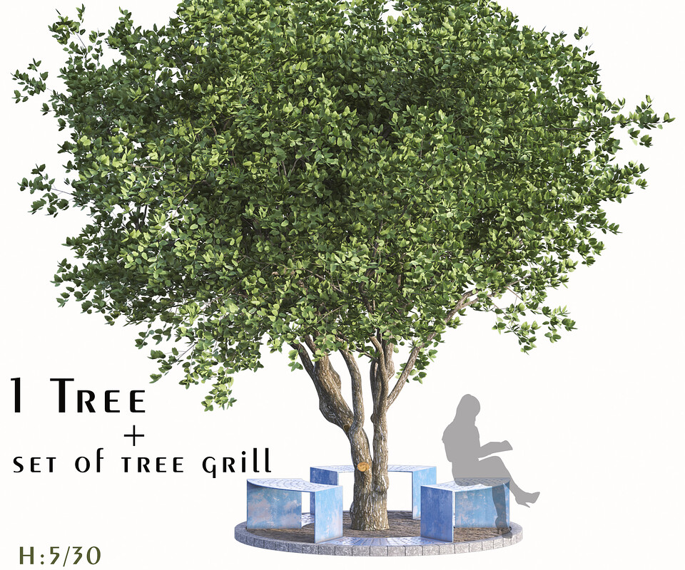 Set of Cinnamomum Camphora with tree grill