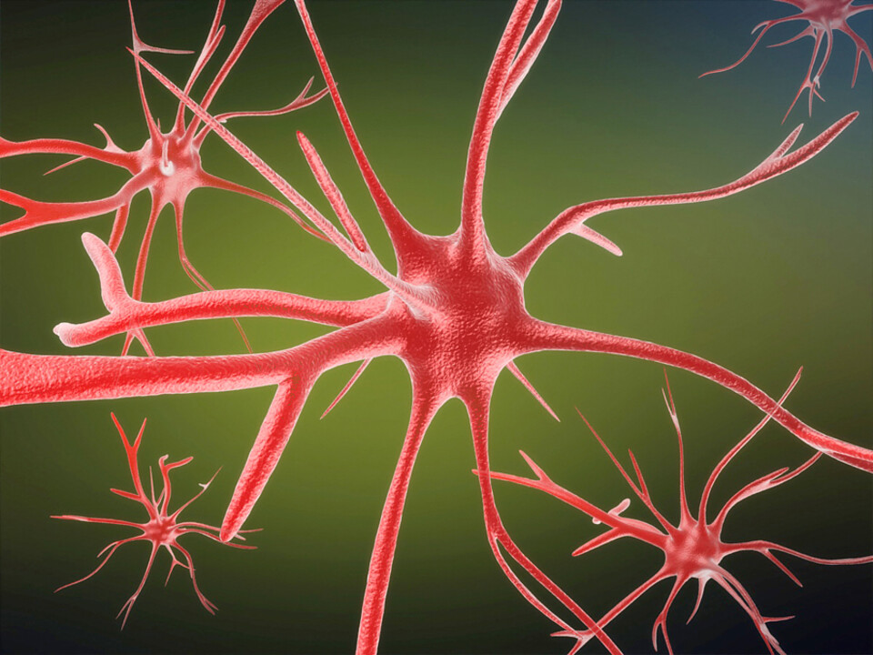 Neurons cells medical animation video models