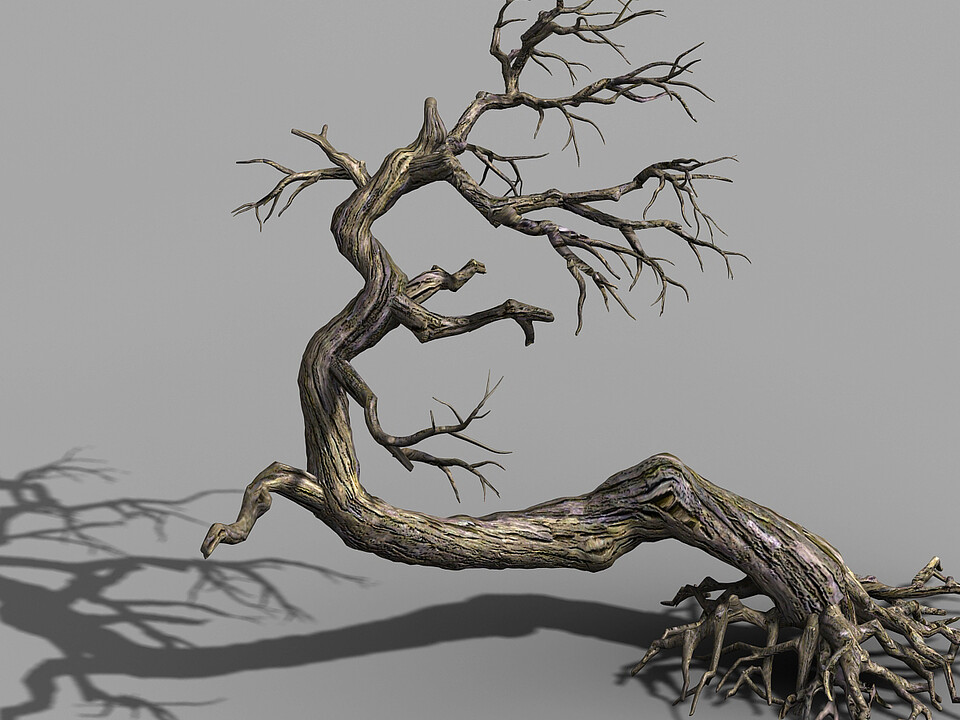 Qianhui Forest-Difu-Dead Tree 007