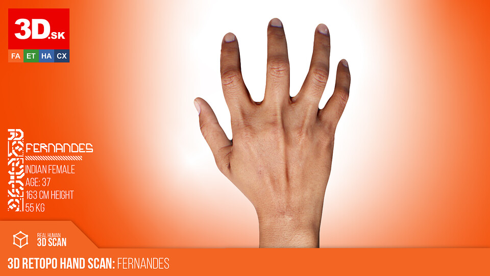 Retopologized 3D Hand scan Indian female