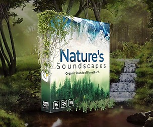 Weather Sound Effects