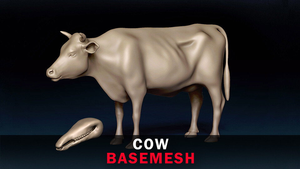 Cow Base Mesh 3D model