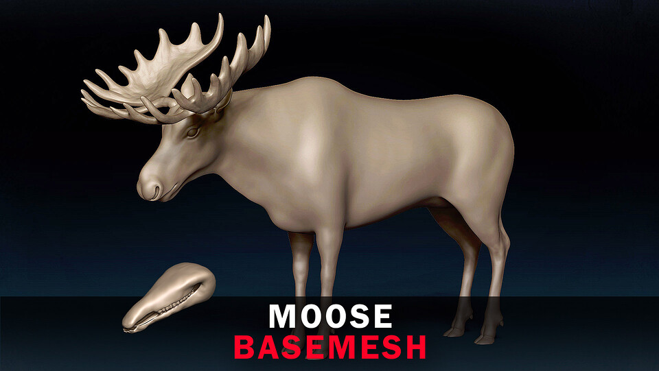 Moose Base Mesh 3D model