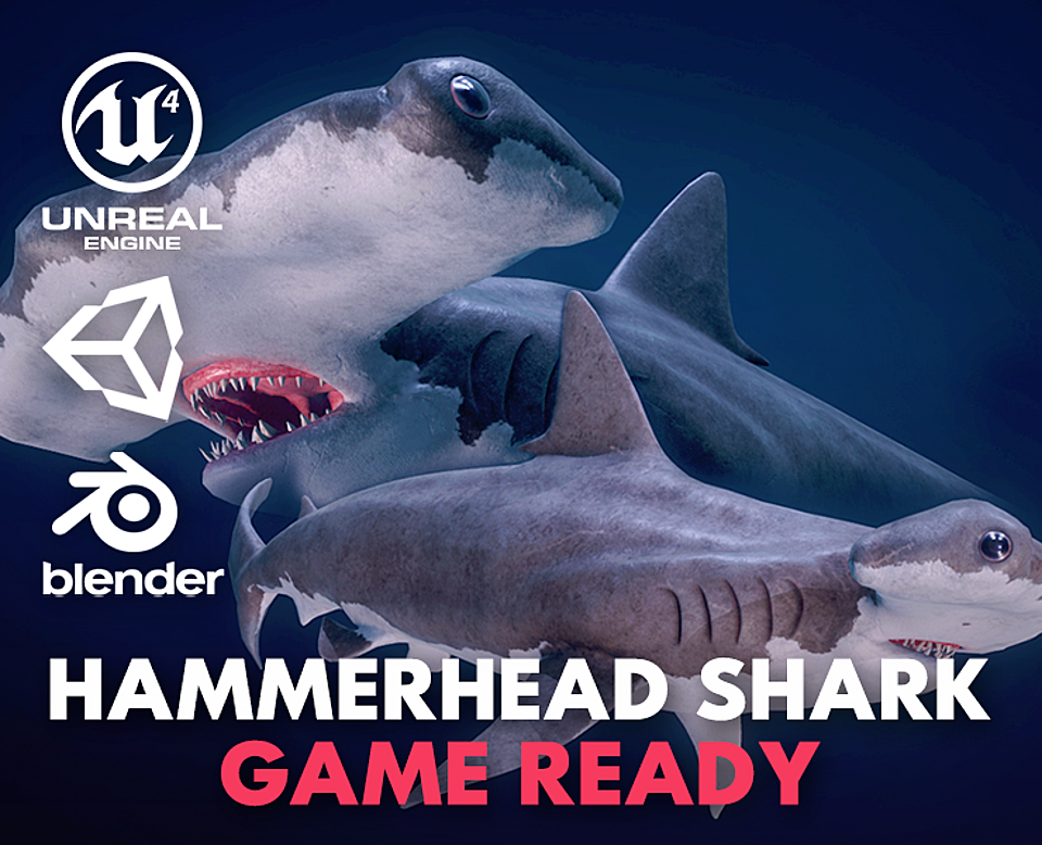 Hammerhead Shark - Game Ready