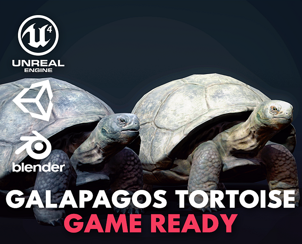 Galapagos Tortoise - Game Ready